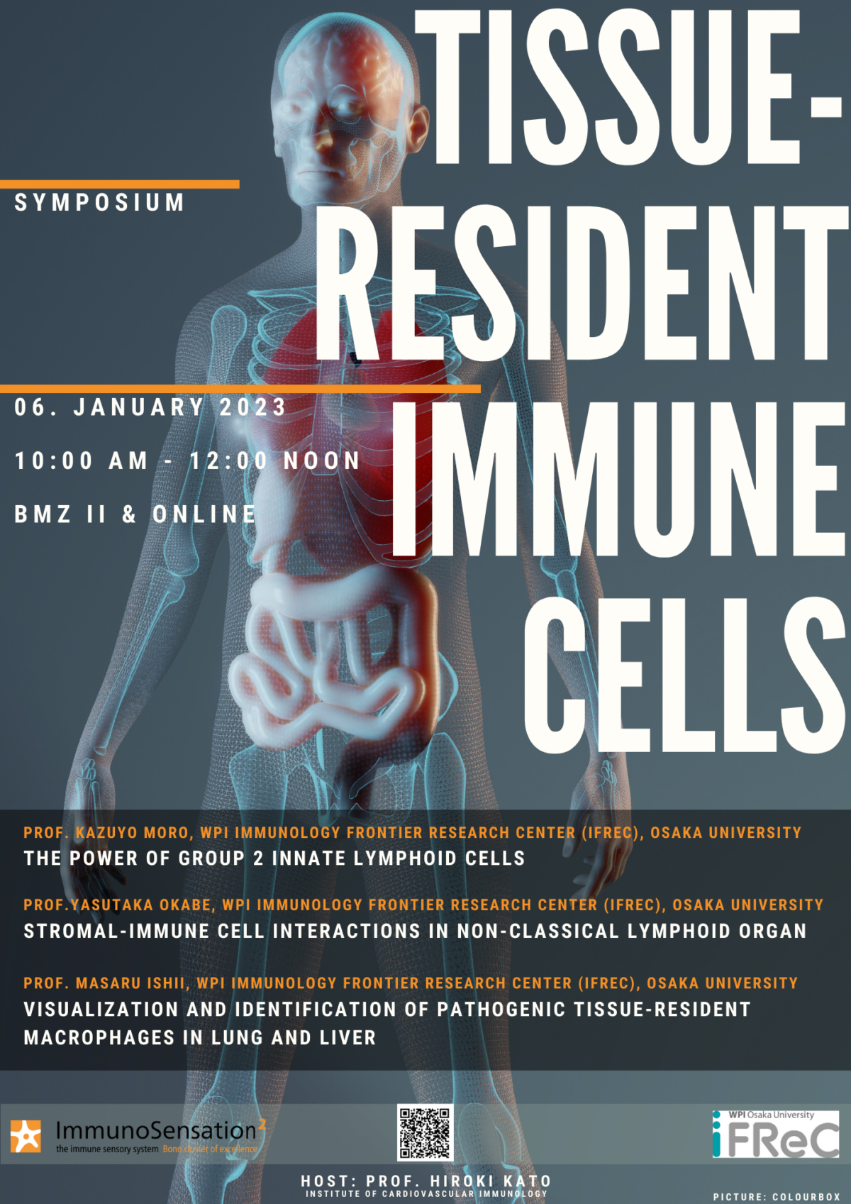 Tissue Resident Immune Cells